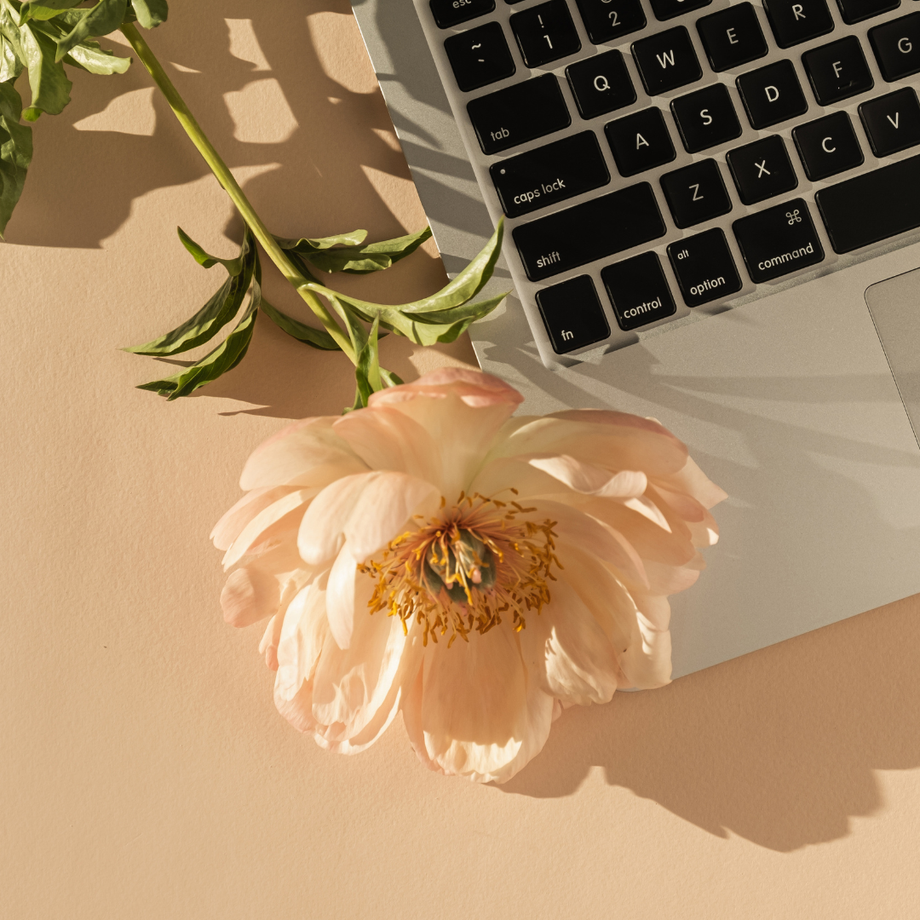 Preservation Timeline – Forever Florals